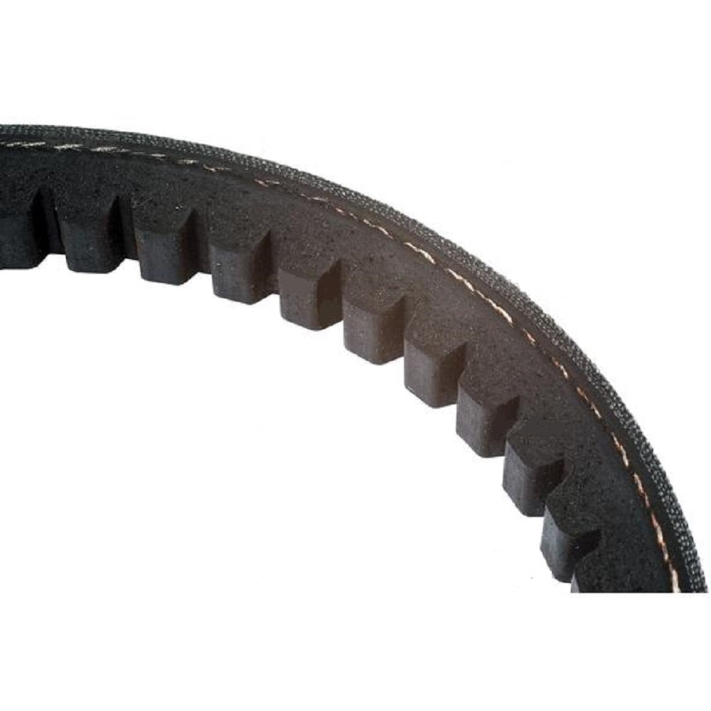 CSB40-0051-AIC Belt